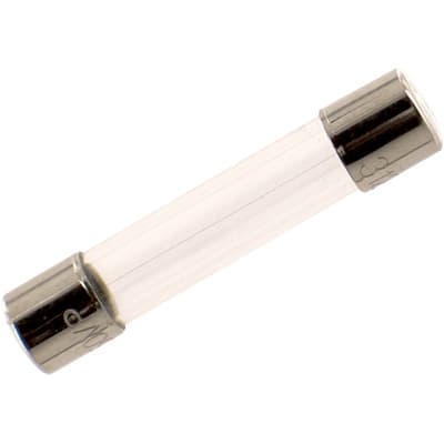 250VAC 3ag Type 20A Glass Series 312 Littelfuse 312020P Fuse Fast ...