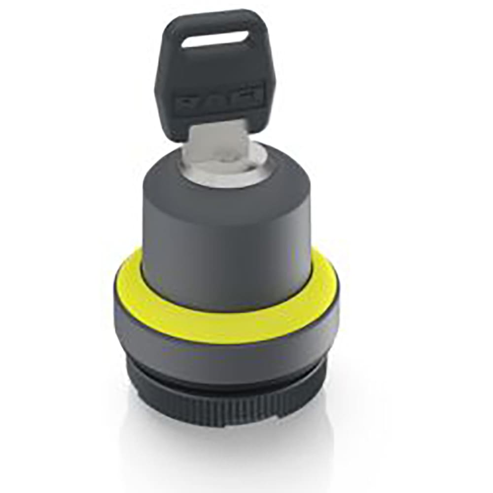 RAFI - 1.30.255.201/0400 - Keylock Switch Actuator,RAFIX 22FS,1x90,L ...