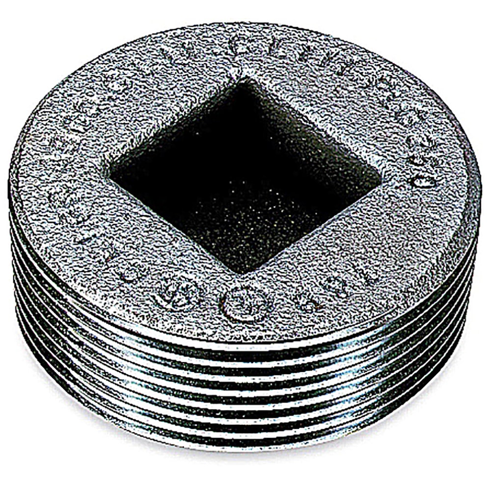 T&B Fittings by ABB - PLG8-TB - Recessed Plugs, Gray Iron, Threads (NPT ...